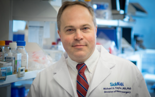 Professor Michael Taylor - The Virtual Child